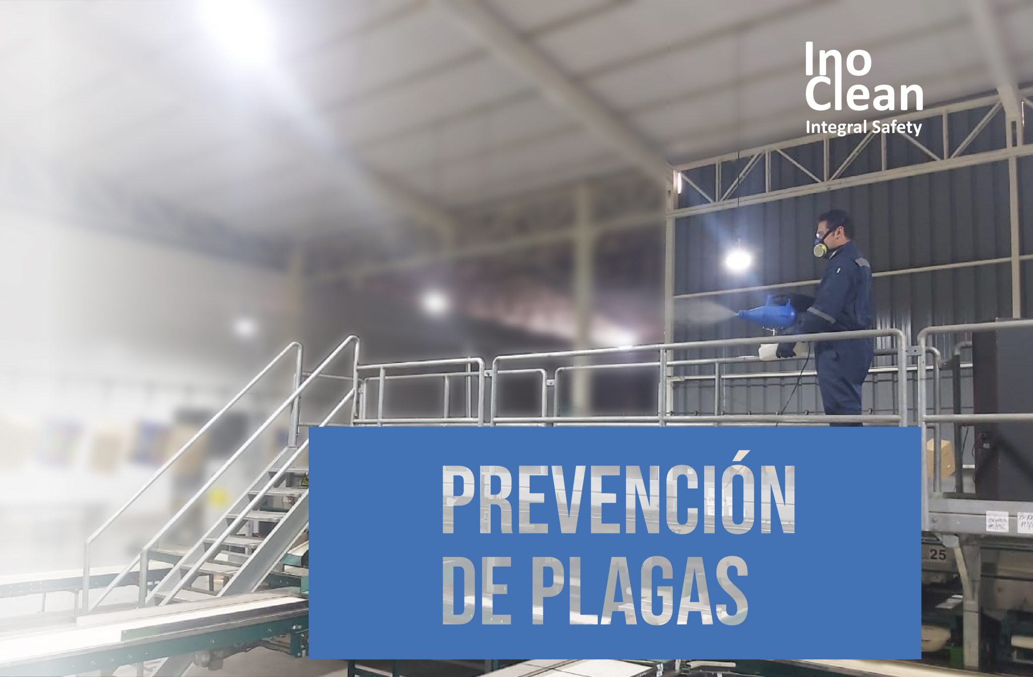 Los 4 métodos más comunes de control de plagas - Inoclean